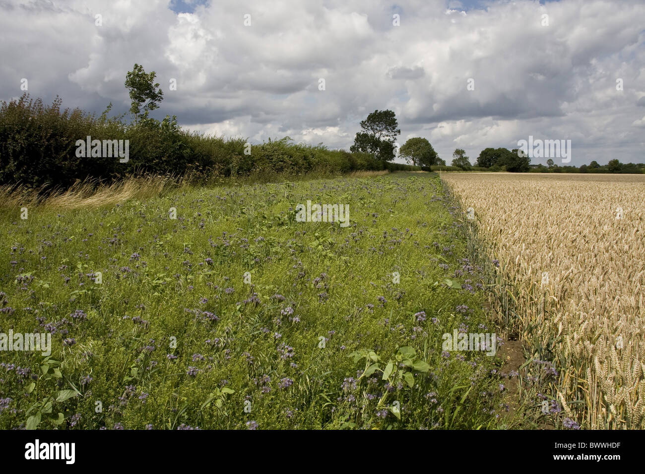 Farmlandset hi-res stock photography and images - Alamy