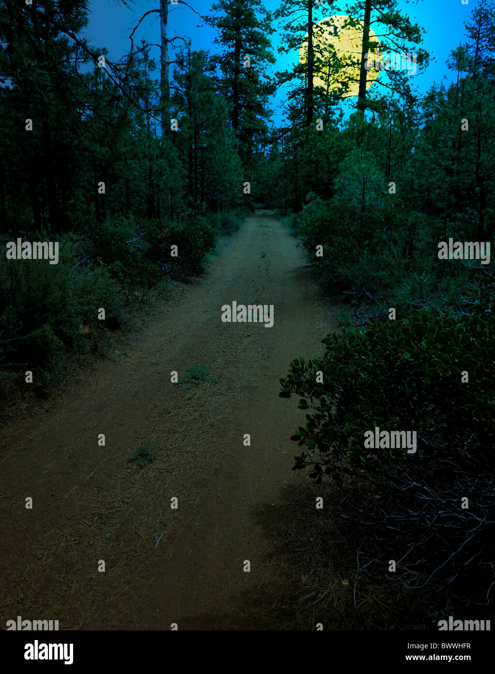Country road at night hi-res stock photography and images - Alamy