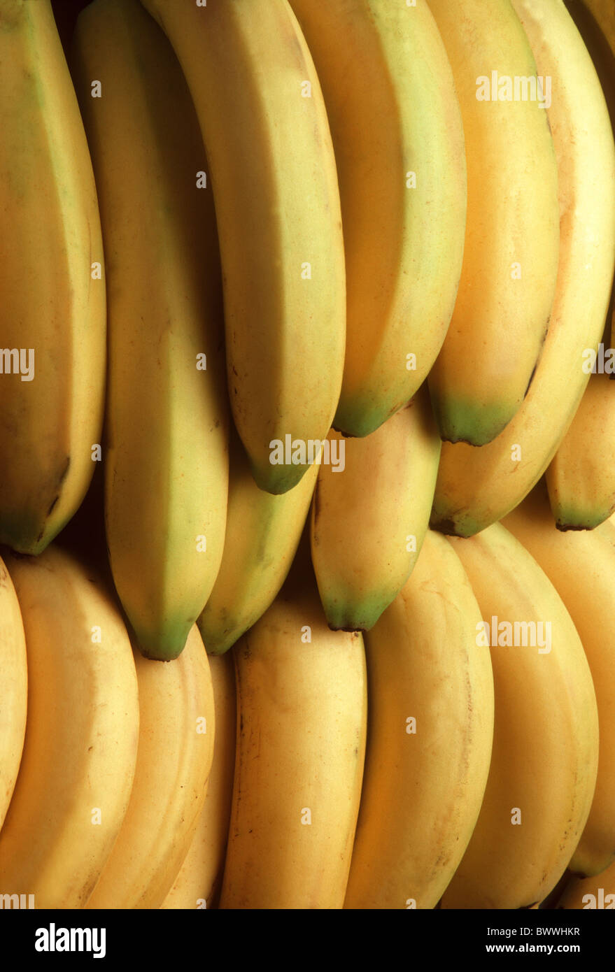 Bunches of yellow bananas with green tips Stock Photo - Alamy