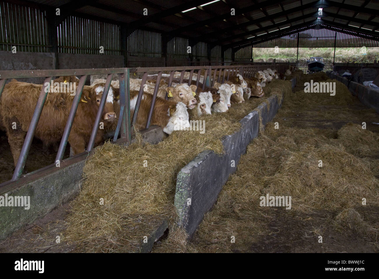 Troff hi-res stock photography and images - Alamy