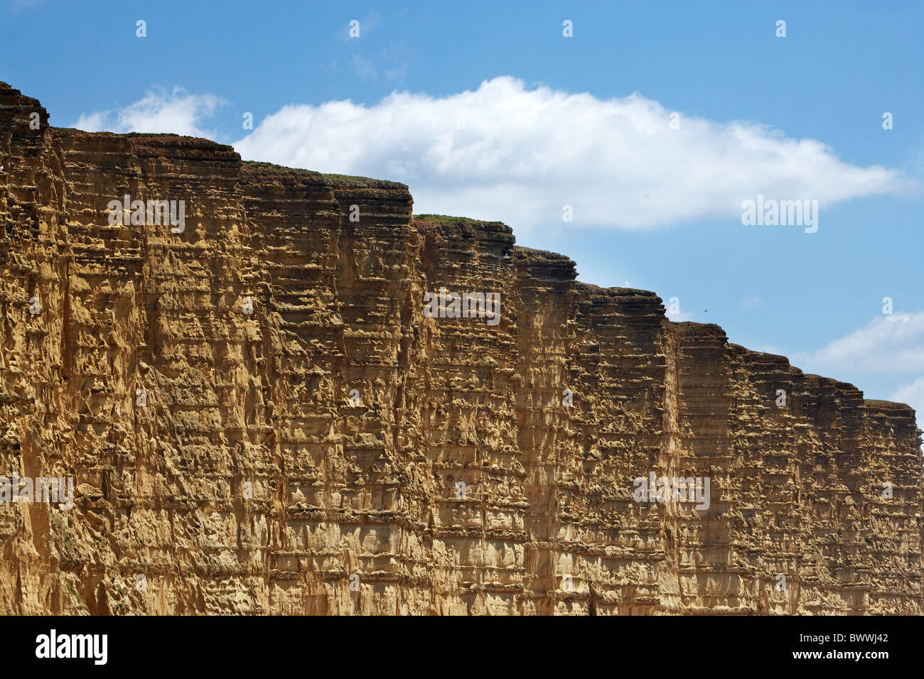 Sedimentary Layers in West Bay Cliffs, Jurassic Coast World Heritage ...