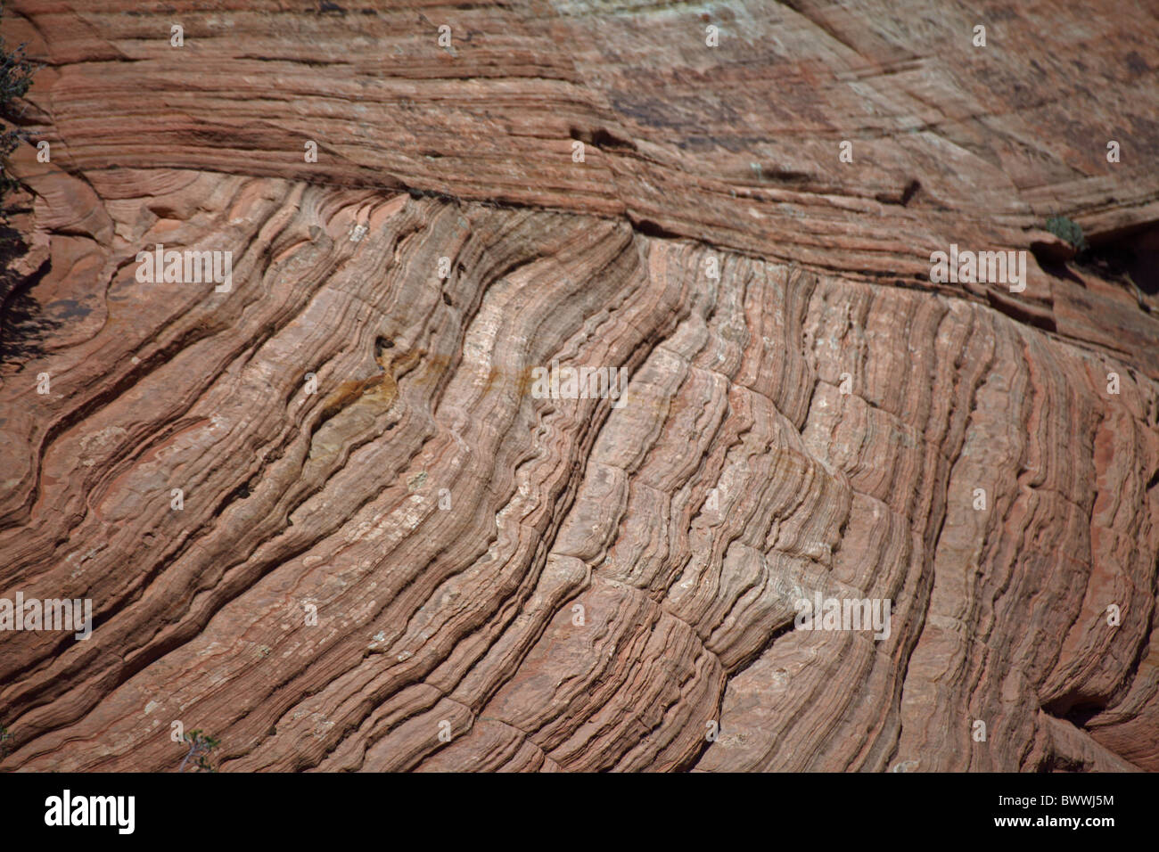 Sandstone Formations Showing Layers - Zion National Park -Utah - USA ...