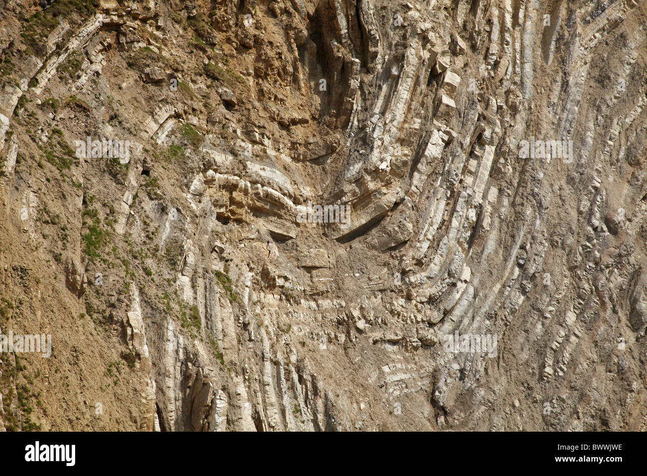 Limestone folding (Lulworth crumple), Stair Hole (cove), near Lulworth ...