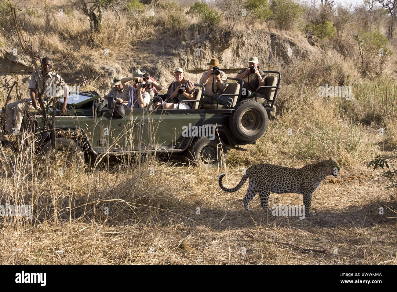 African nat hi-res stock photography and images - Alamy