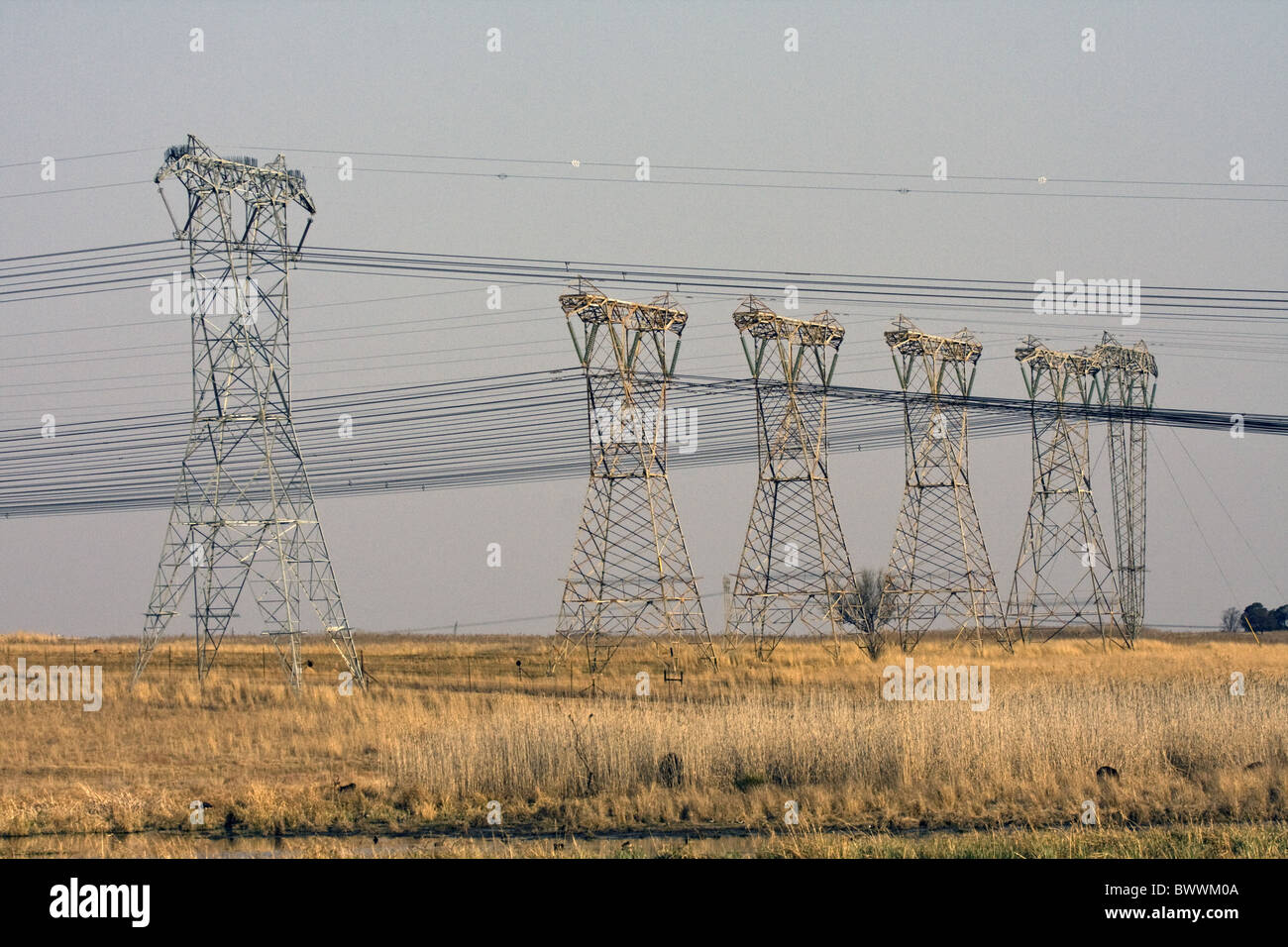 High tension power cables moving electricity over Stock Photo - Alamy