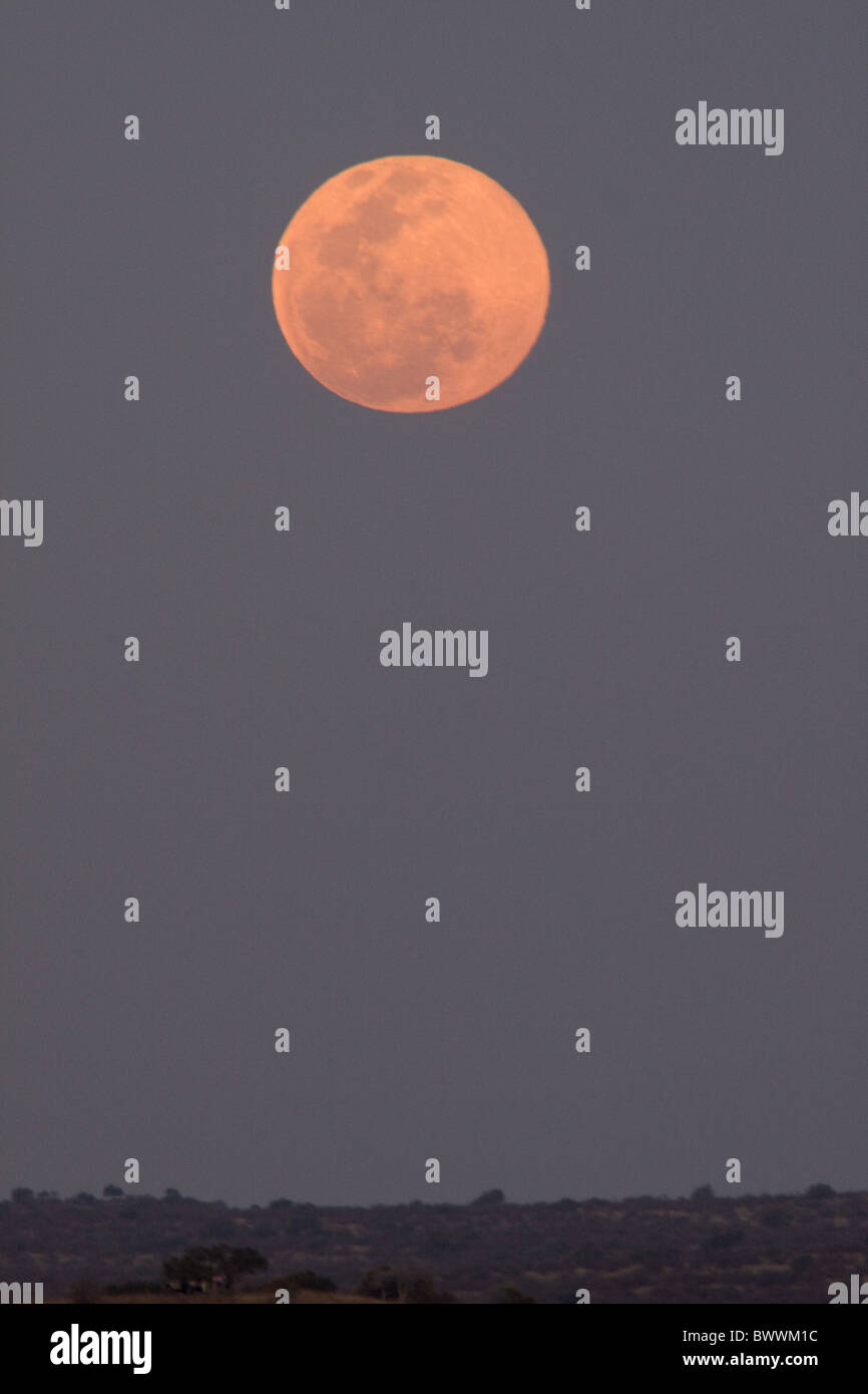 Rising full moon over african landscape Stock Photo - Alamy