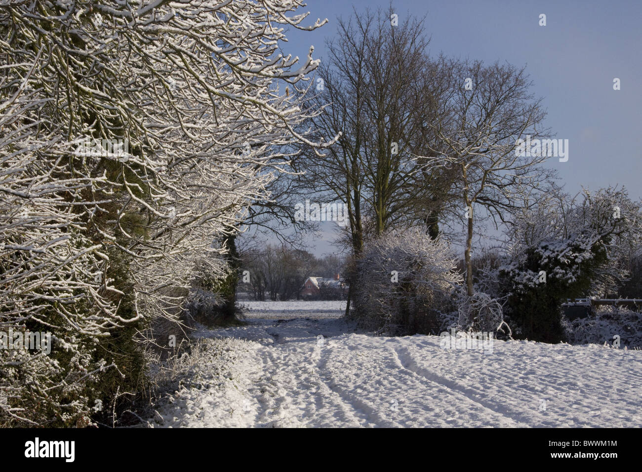 Suffolk countryside in winter Stock Photo - Alamy