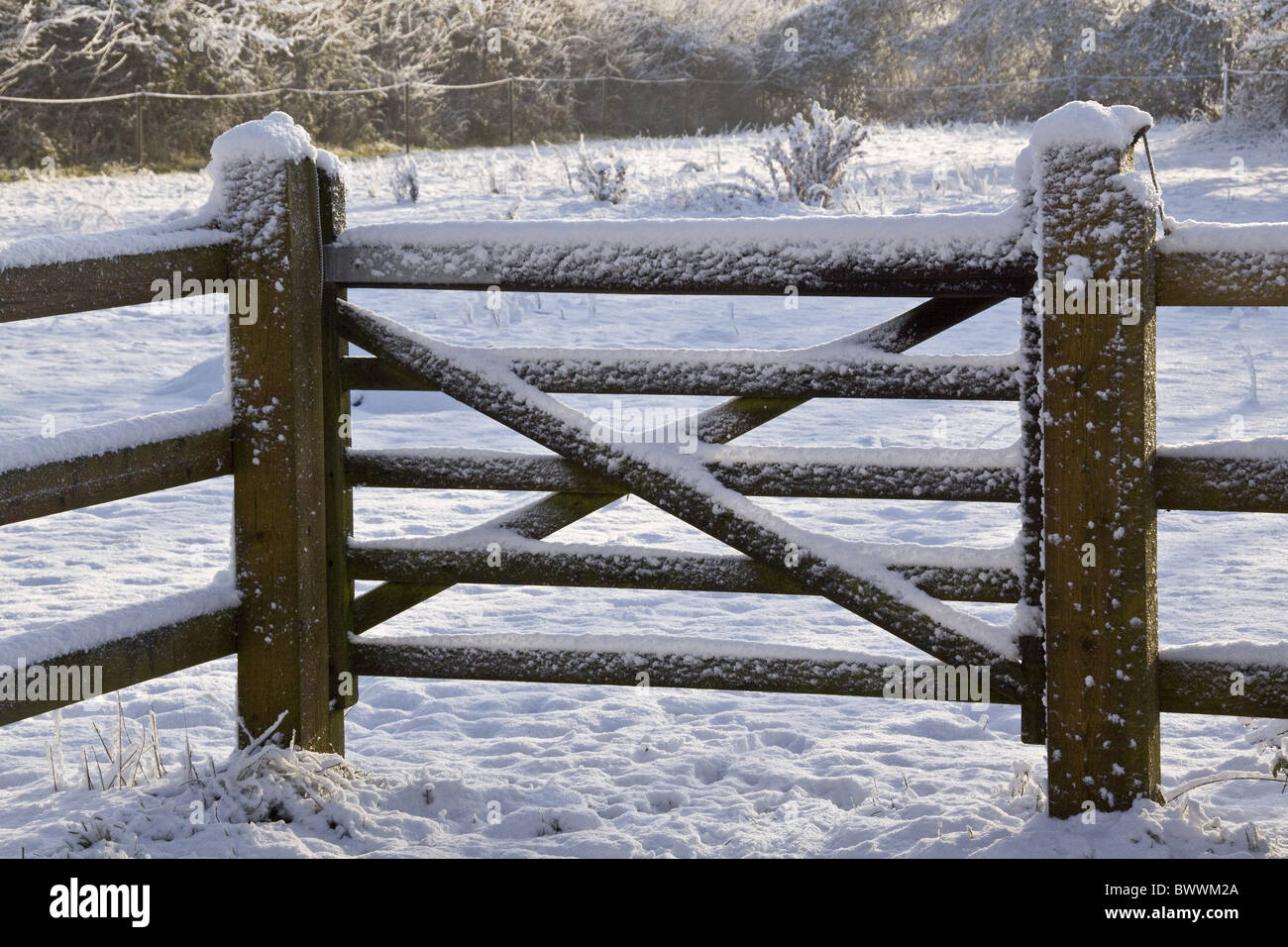 Fresh wind blown snow clings to field gate Stock Photo - Alamy