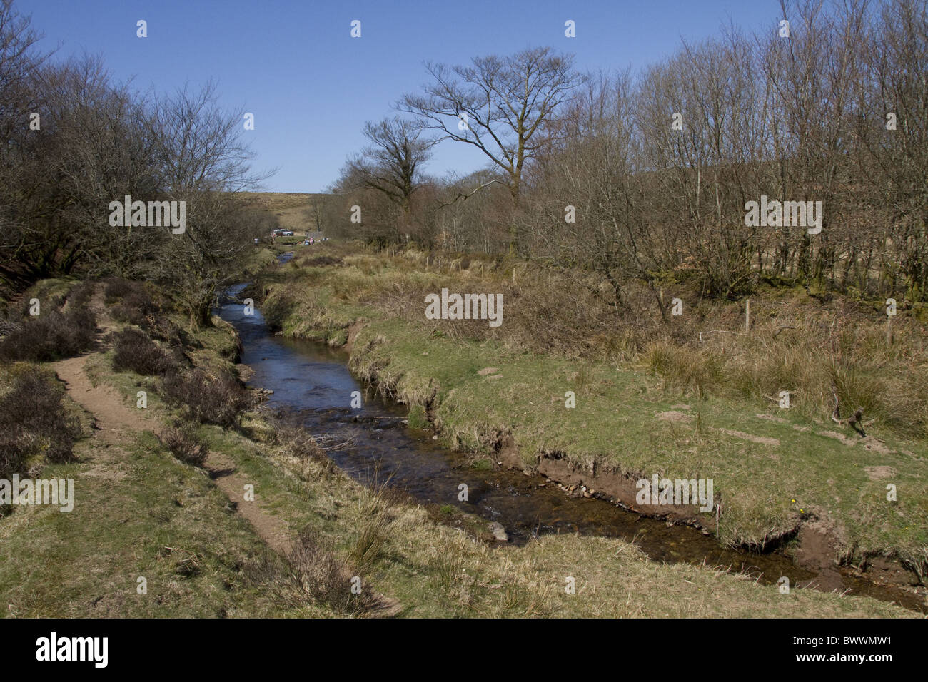 Molland devon hi-res stock photography and images - Alamy
