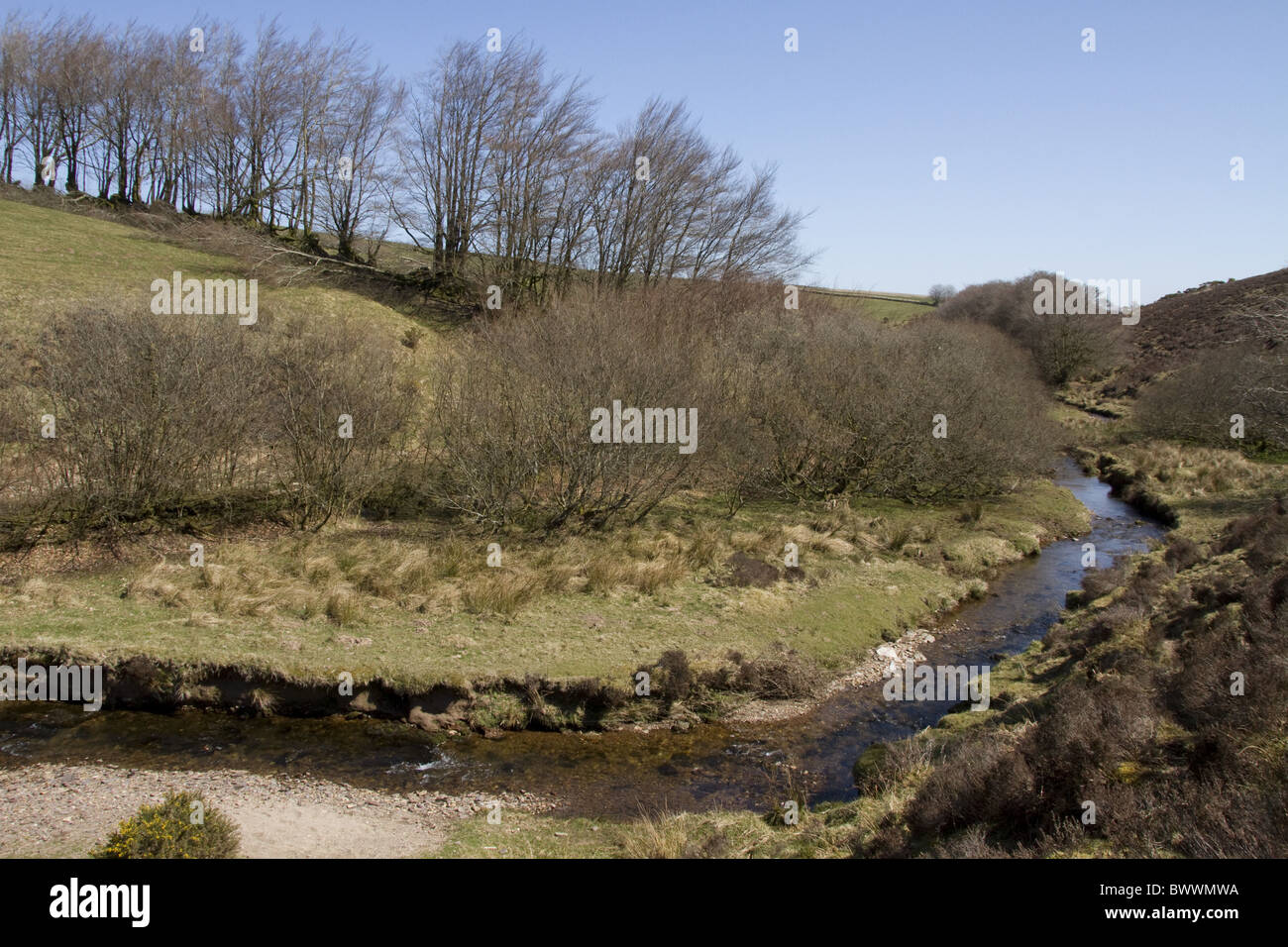 Danes Brook on Exmoor North Devon Stock Photo - Alamy