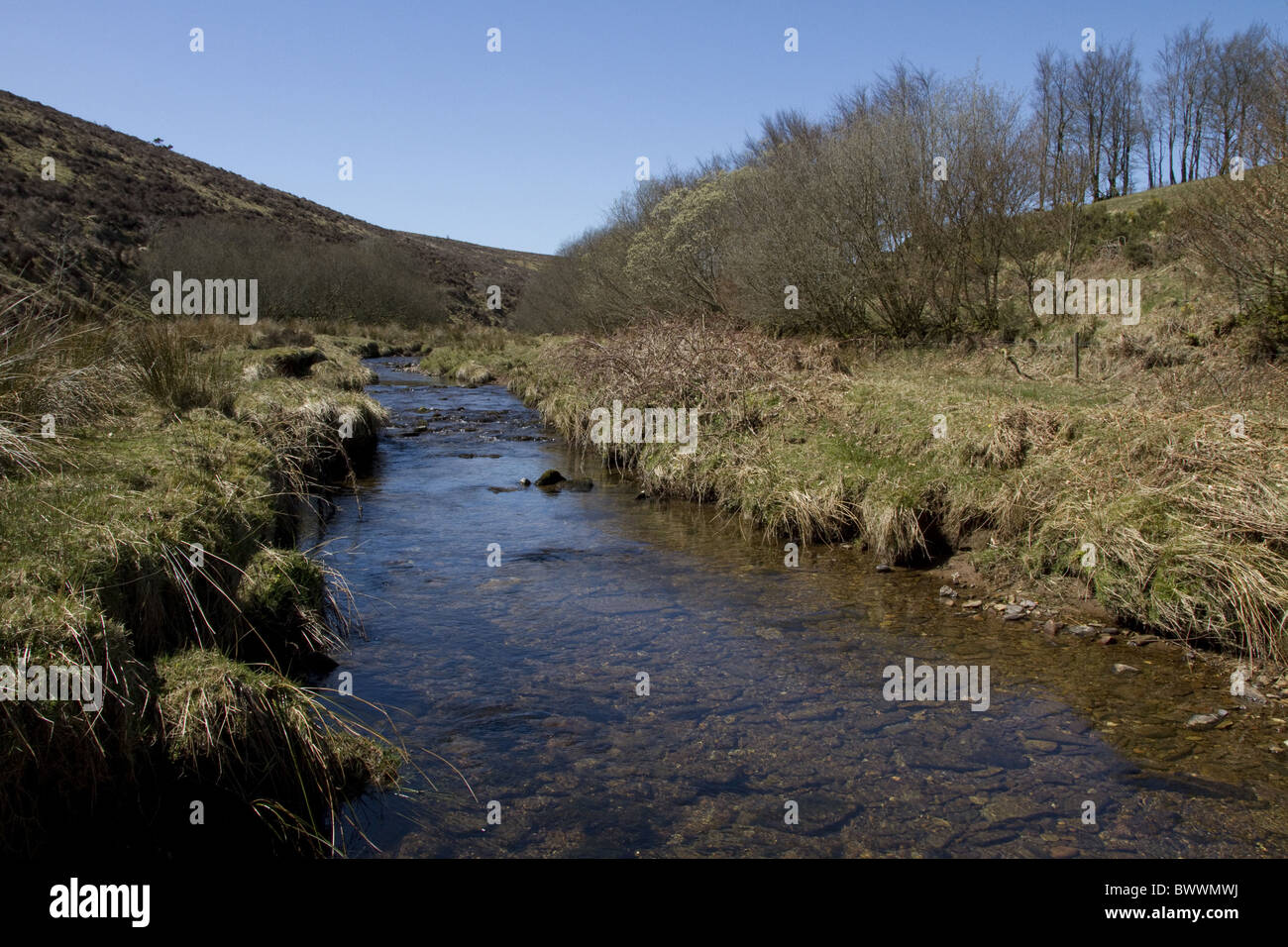 Danes Brook on Exmoor North Devon Stock Photo - Alamy
