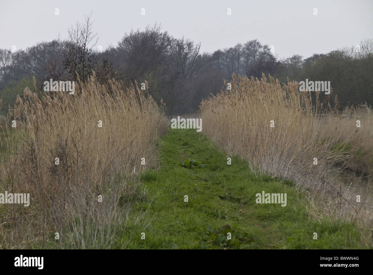 The eastbridge hi-res stock photography and images - Alamy