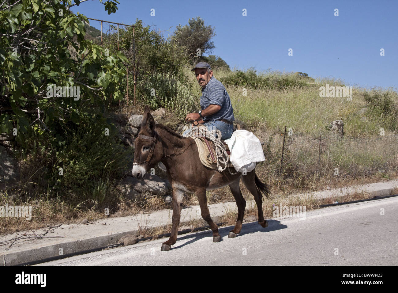 Donkey Rider High Resolution Stock Photography and Images - Alamy