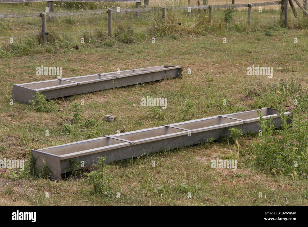 Feeding trough hi-res stock photography and images - Alamy