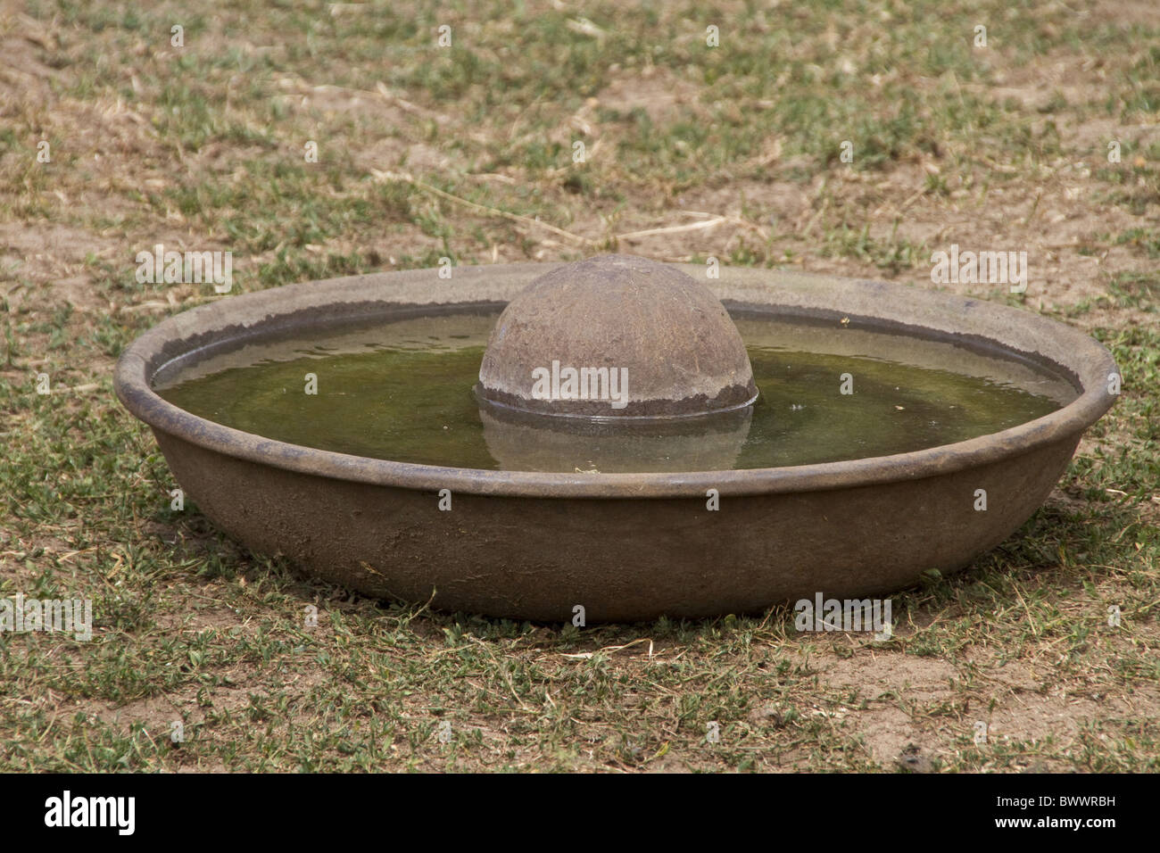 Farm Animal waterier Stock Photo - Alamy
