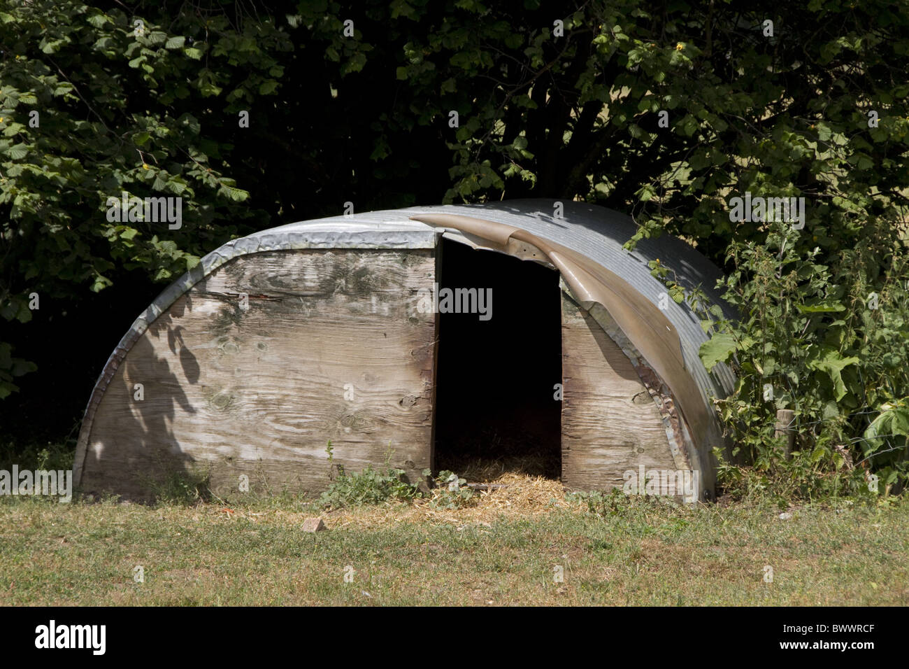 Pig Arc High Resolution Stock Photography and Images - Alamy