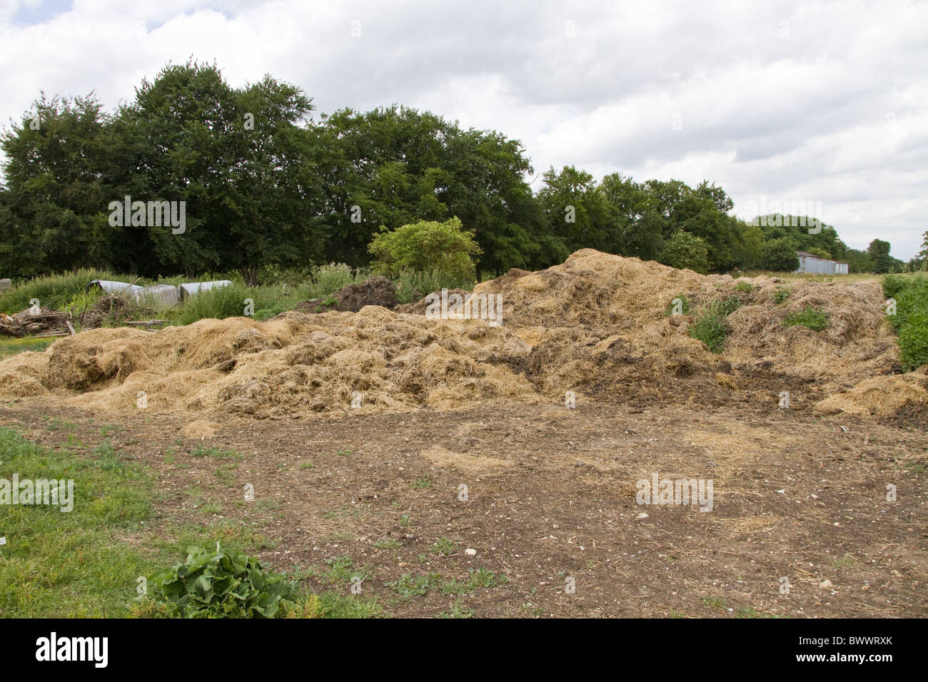 farm yard compost heap Stock Photo - Alamy