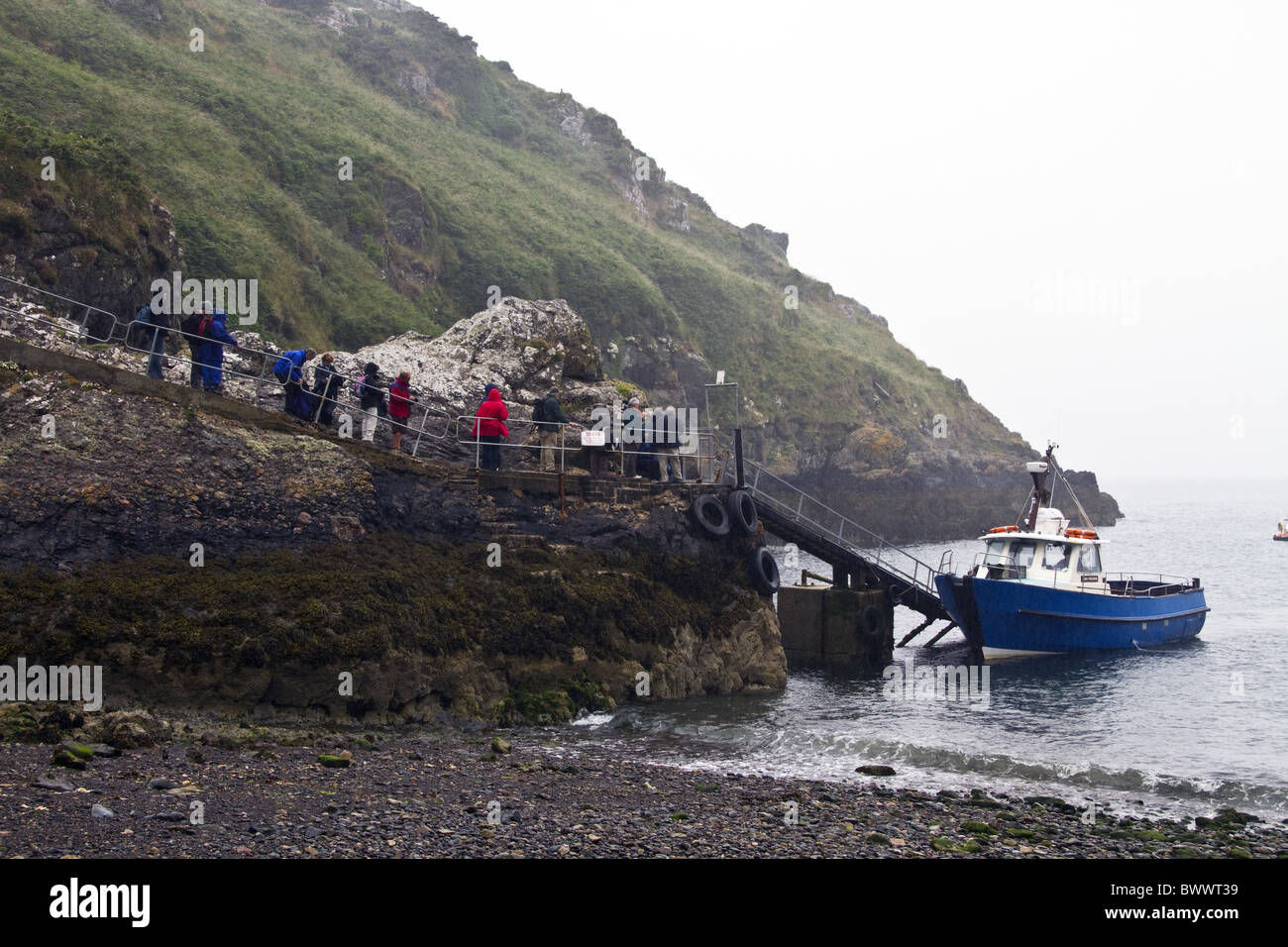 Queuing get on Dale Princess visit Skomer Island Stock Photo - Alamy