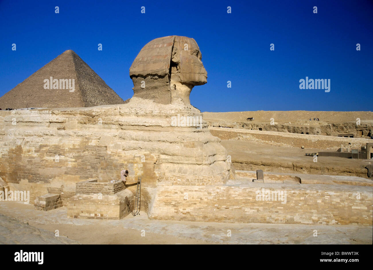 Profile of the Great Sphinx with the Great Pyramid of Giza in the ...