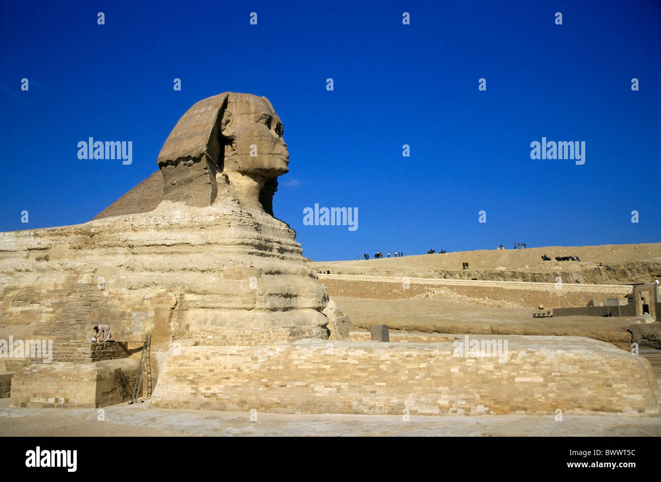 Profile of the Great Sphinx with the Great Pyramid of Giza in the ...