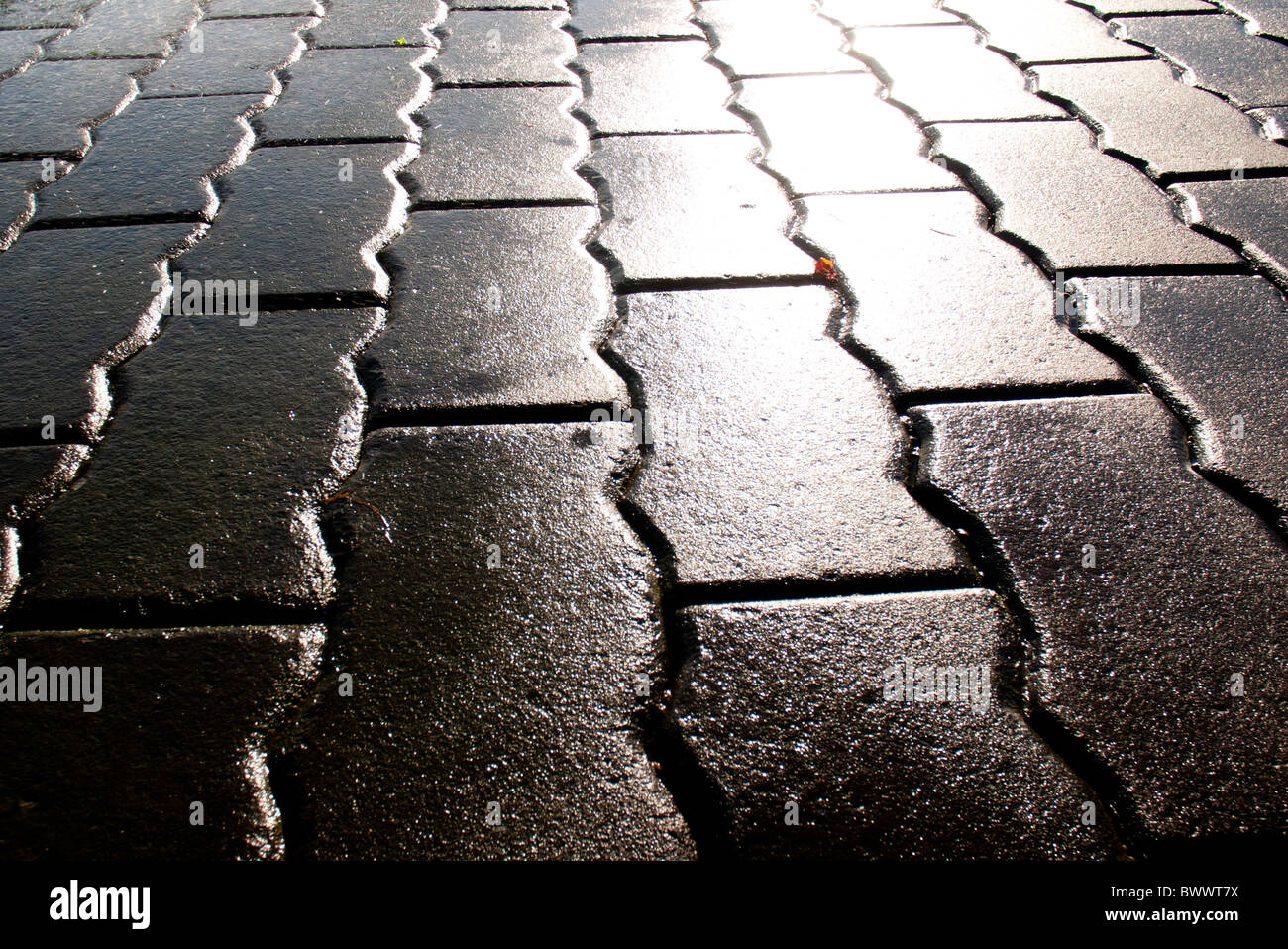 wet paving tiles Stock Photo - Alamy