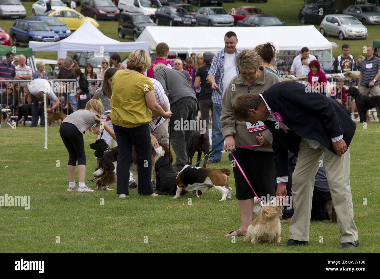Judge at show hi-res stock photography and images - Alamy