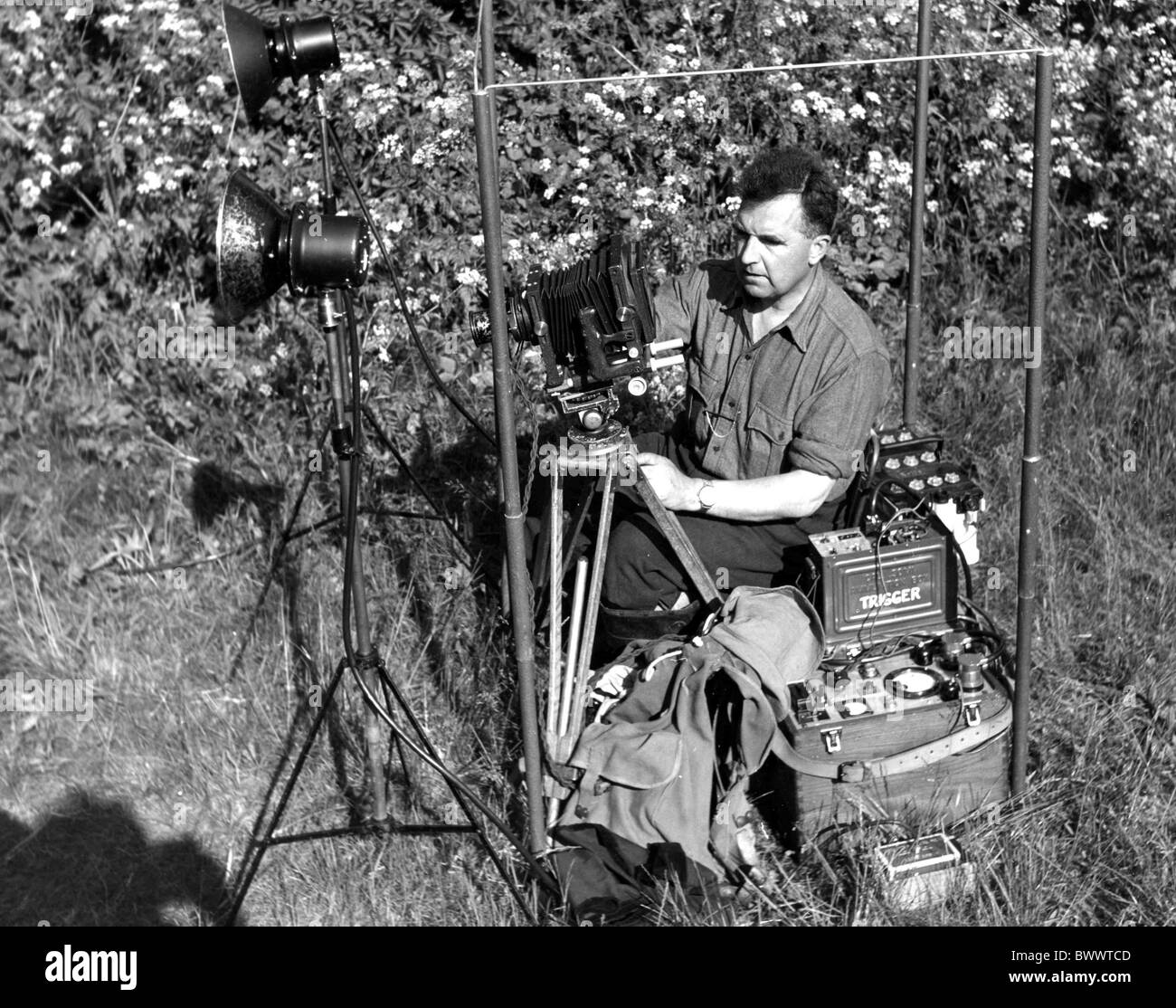 Eric hosking hi-res stock photography and images - Alamy