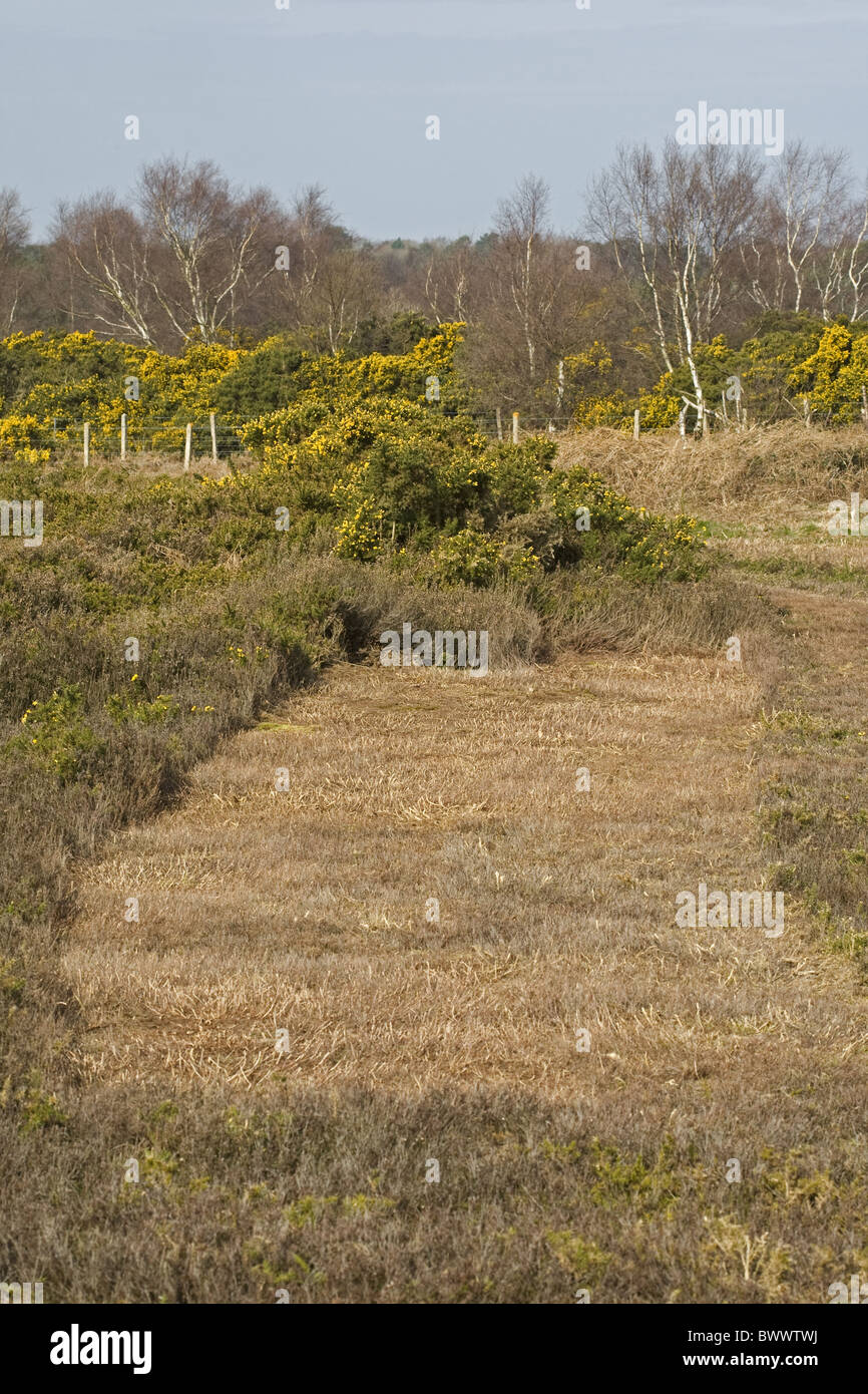 Silver reserve hi-res stock photography and images - Alamy