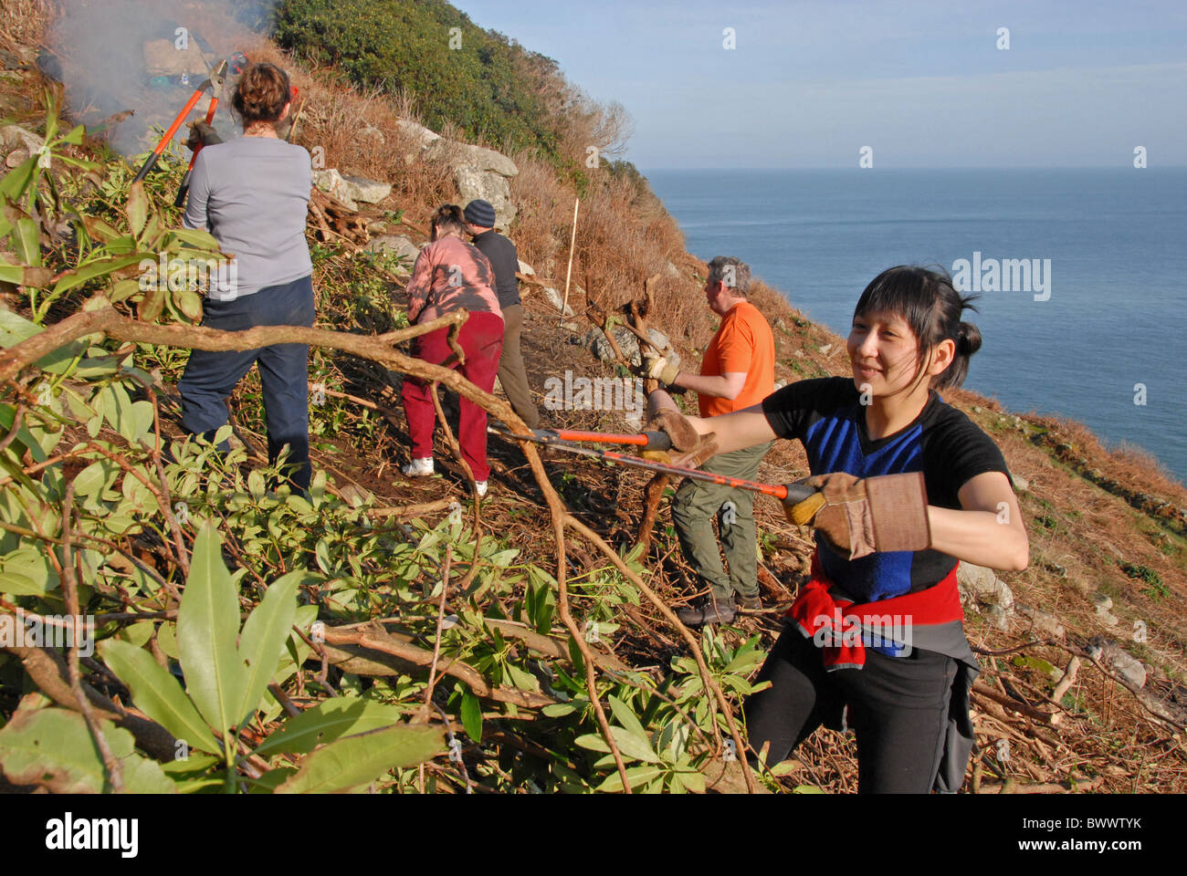 Volunteers clearing rhododendron, invasive species threatening to ...