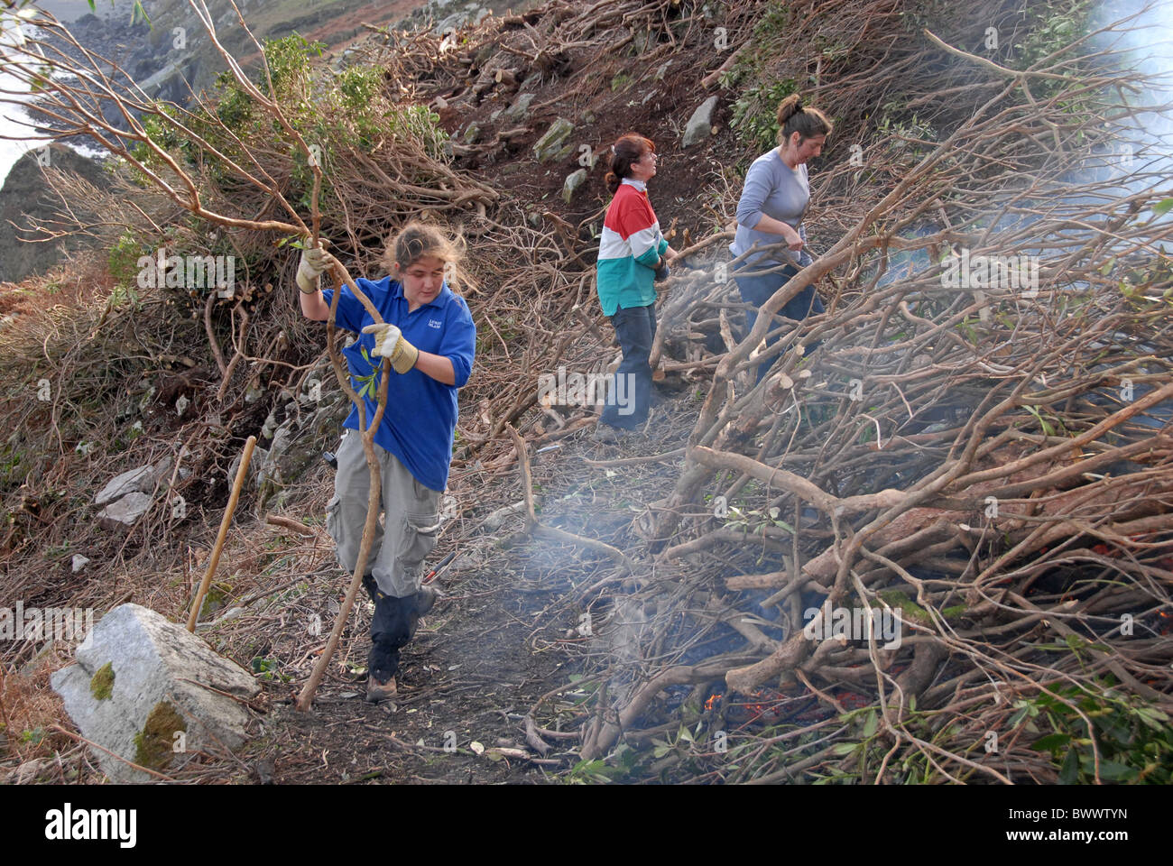 Volunteers clearing rhododendron, invasive species threatening to ...