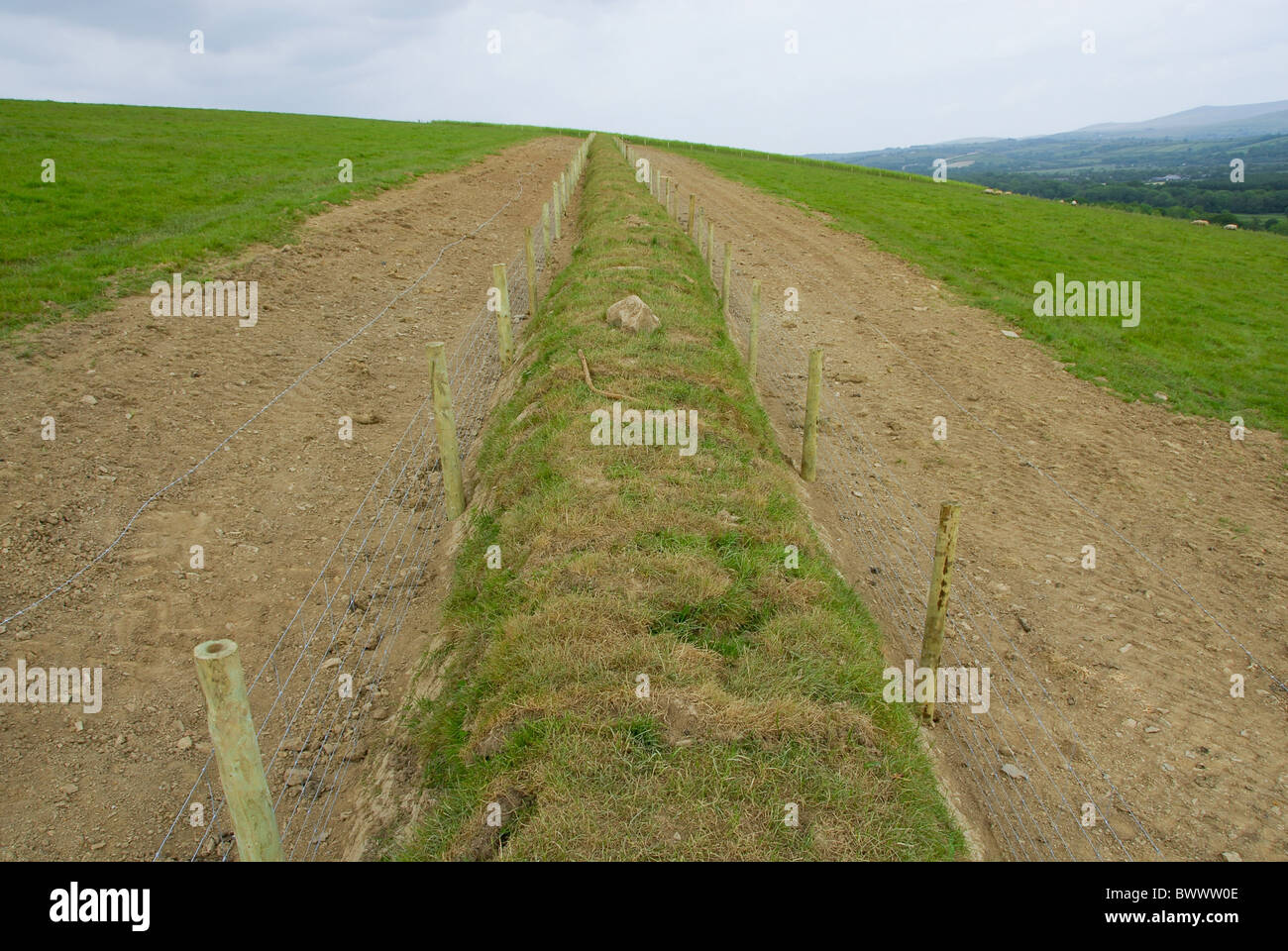 Recently rebuilt traditional Devon hedge bank Stock Photo - Alamy