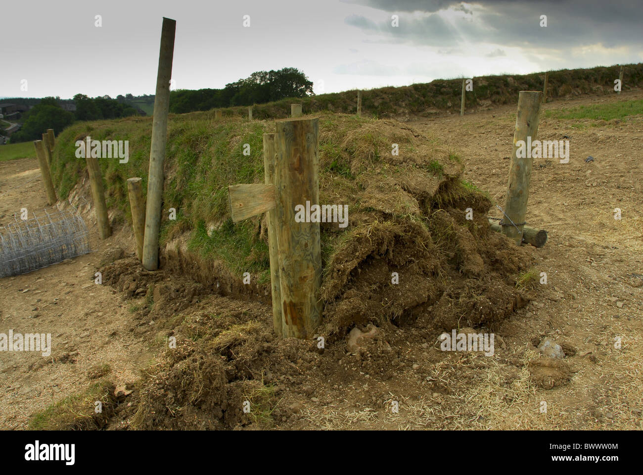 Recently rebuilt traditional Devon hedge bank Stock Photo - Alamy