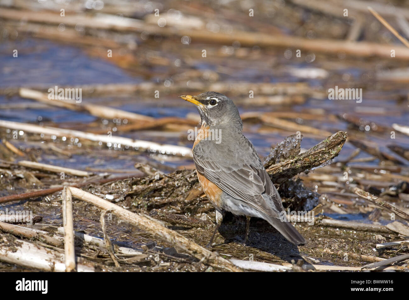 Floating the james river hi-res stock photography and images - Alamy
