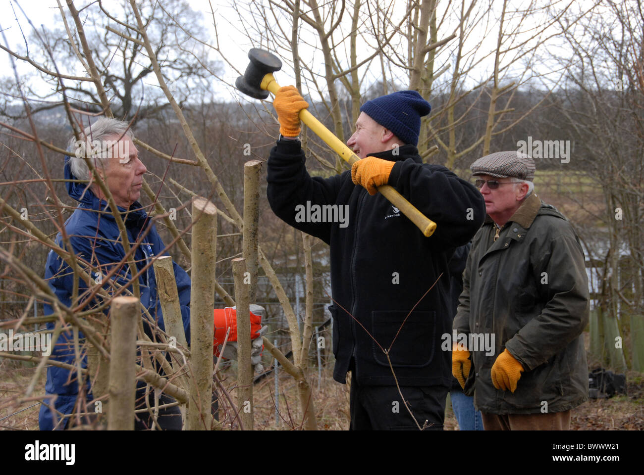 Boxmoor hi-res stock photography and images - Alamy
