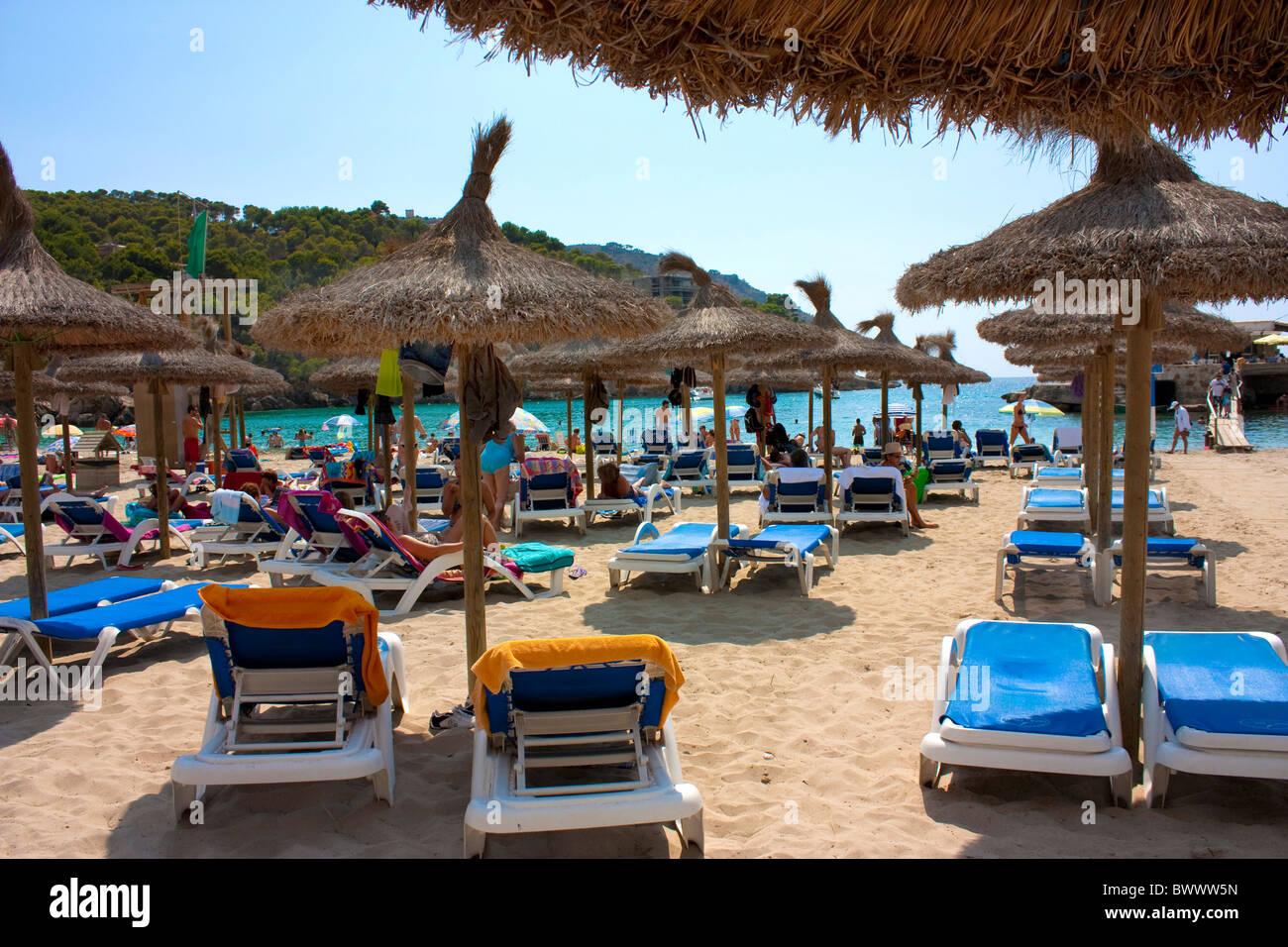 busy typical med beach in summer, majorca Stock Photo - Alamy