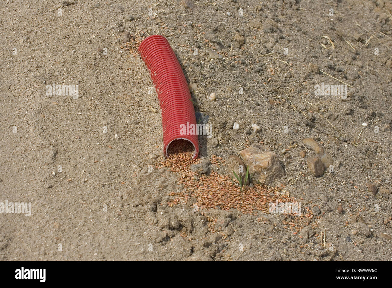 Poison and traps hi-res stock photography and images - Alamy