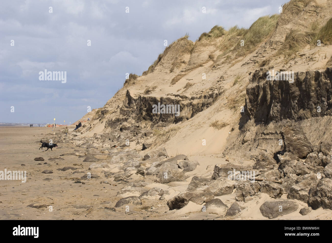 Coastal erosion sand dunes eroded by sea Formby Stock Photo - Alamy