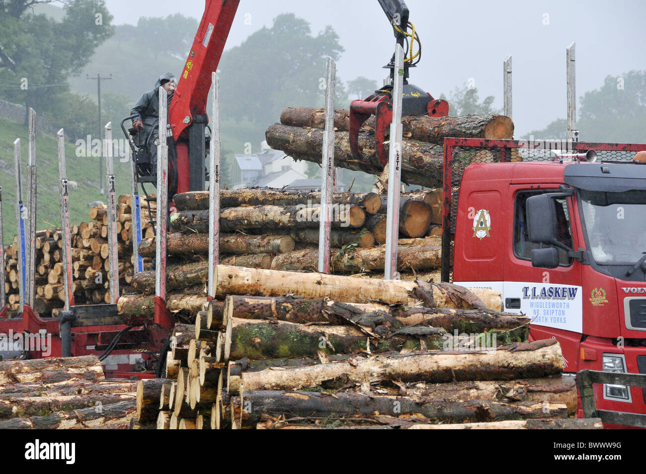 forest forestry loading lorry timber wood farm farms farming ...