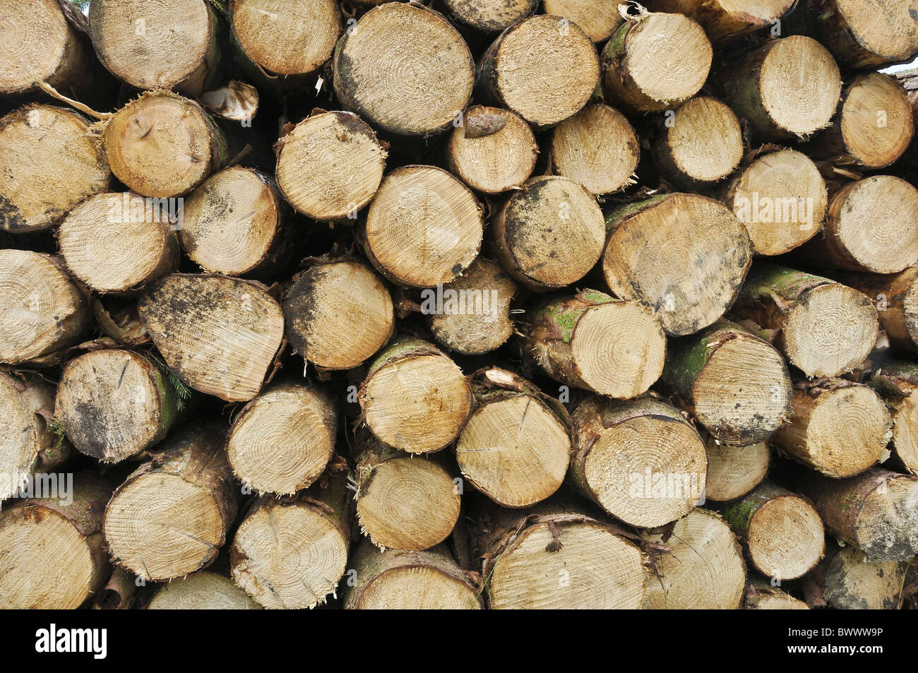 forest forestry loading wood farm farms farming agriculture ...
