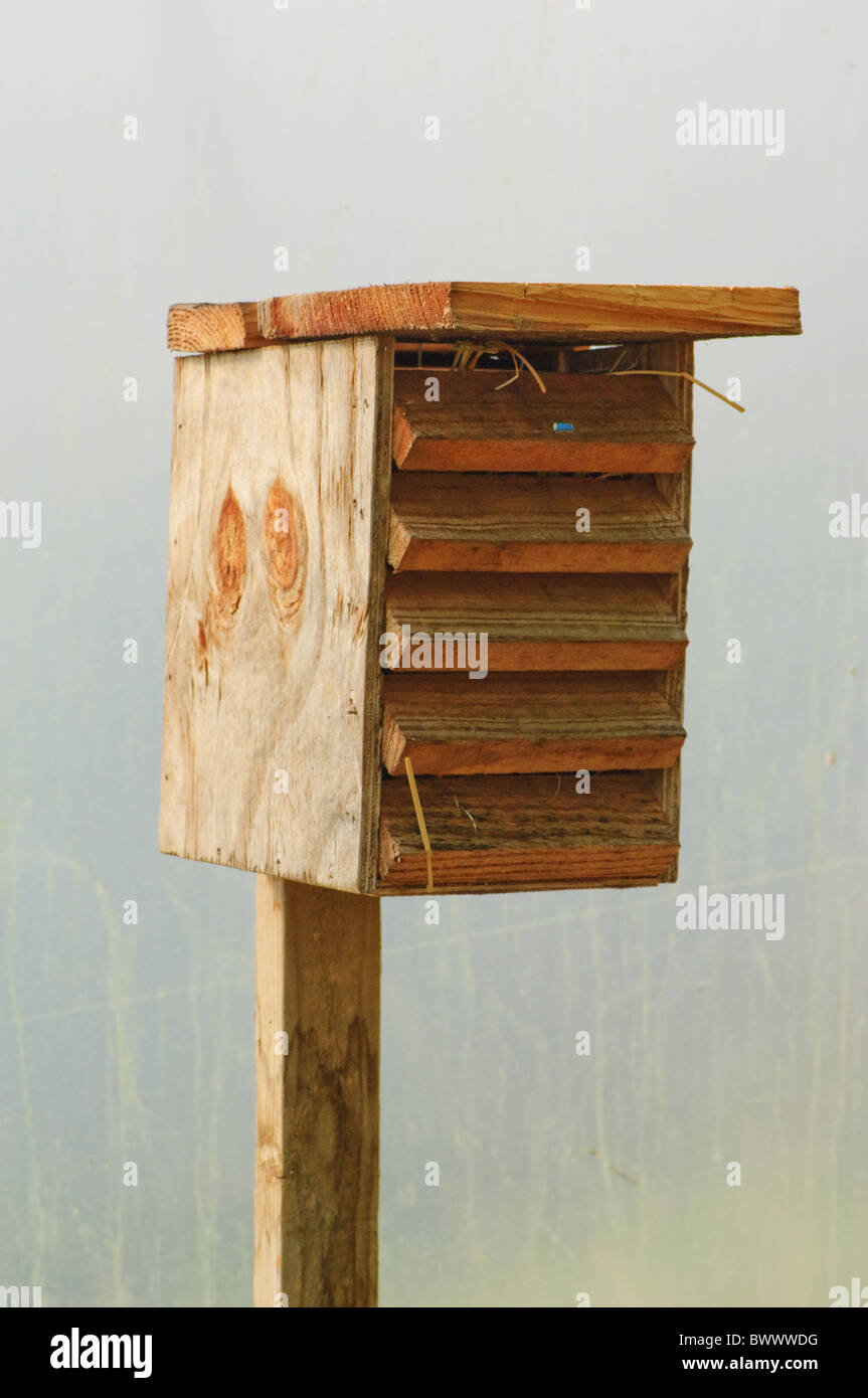 chilli peppers hive bees South Devon farm farms farming bee bees "bee ...