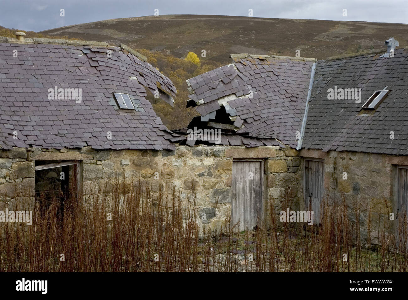 barn barns britain british byre byres cattle collapse collapsed ...