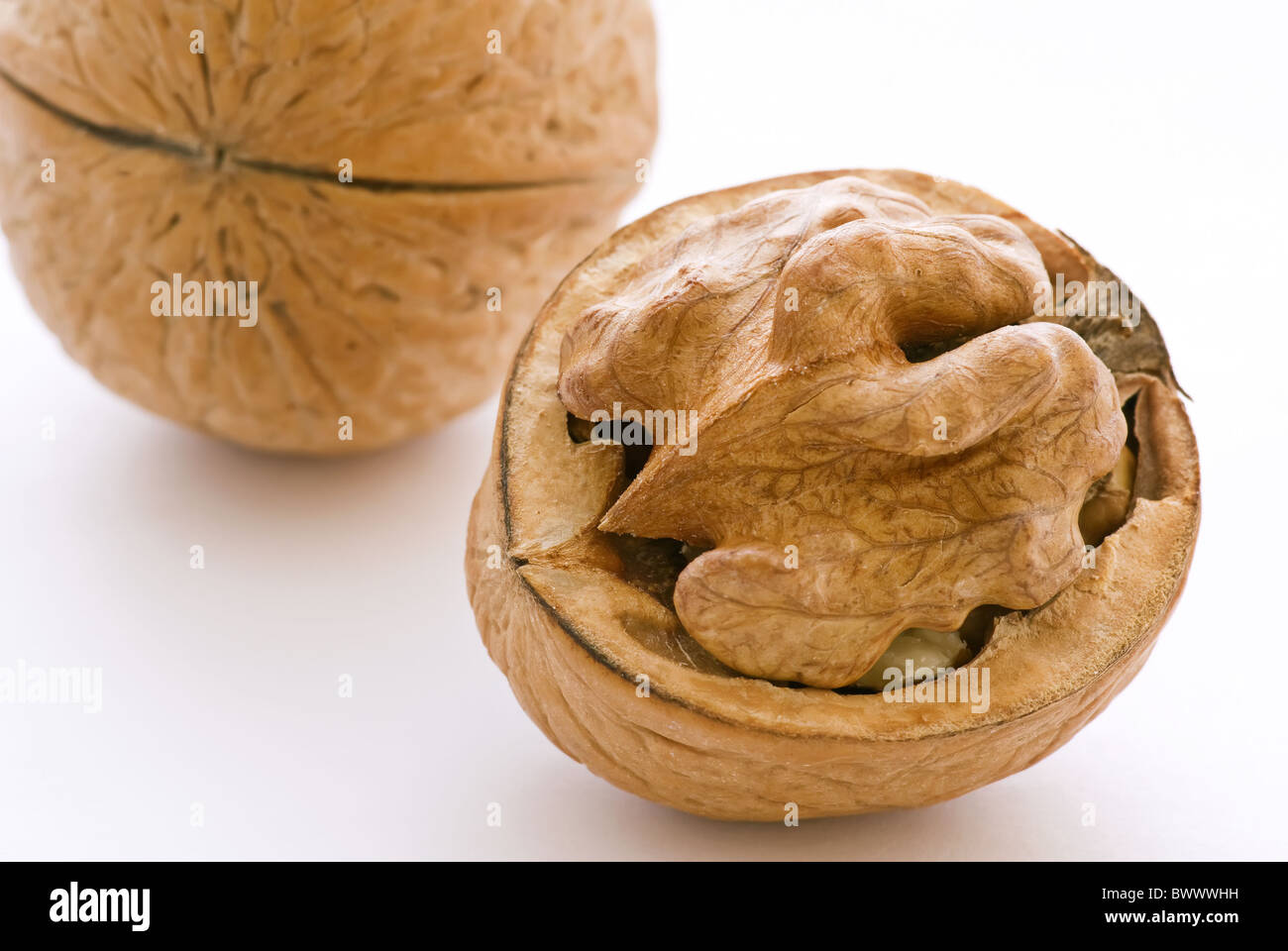 Struktur shell hi-res stock photography and images - Alamy