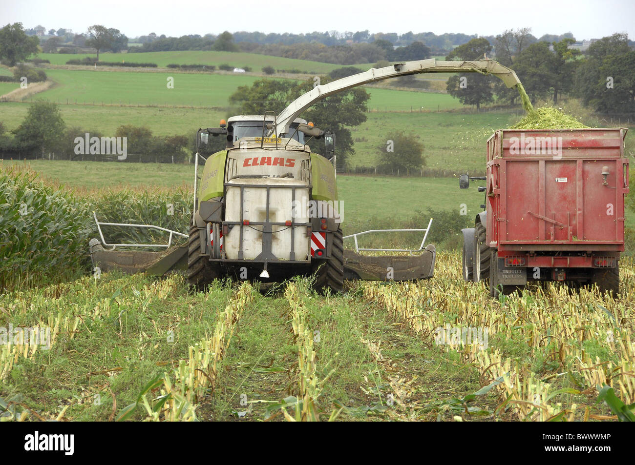 Maize trailer machinery Jaguar CLAAS maize forage harvester farm farms ...