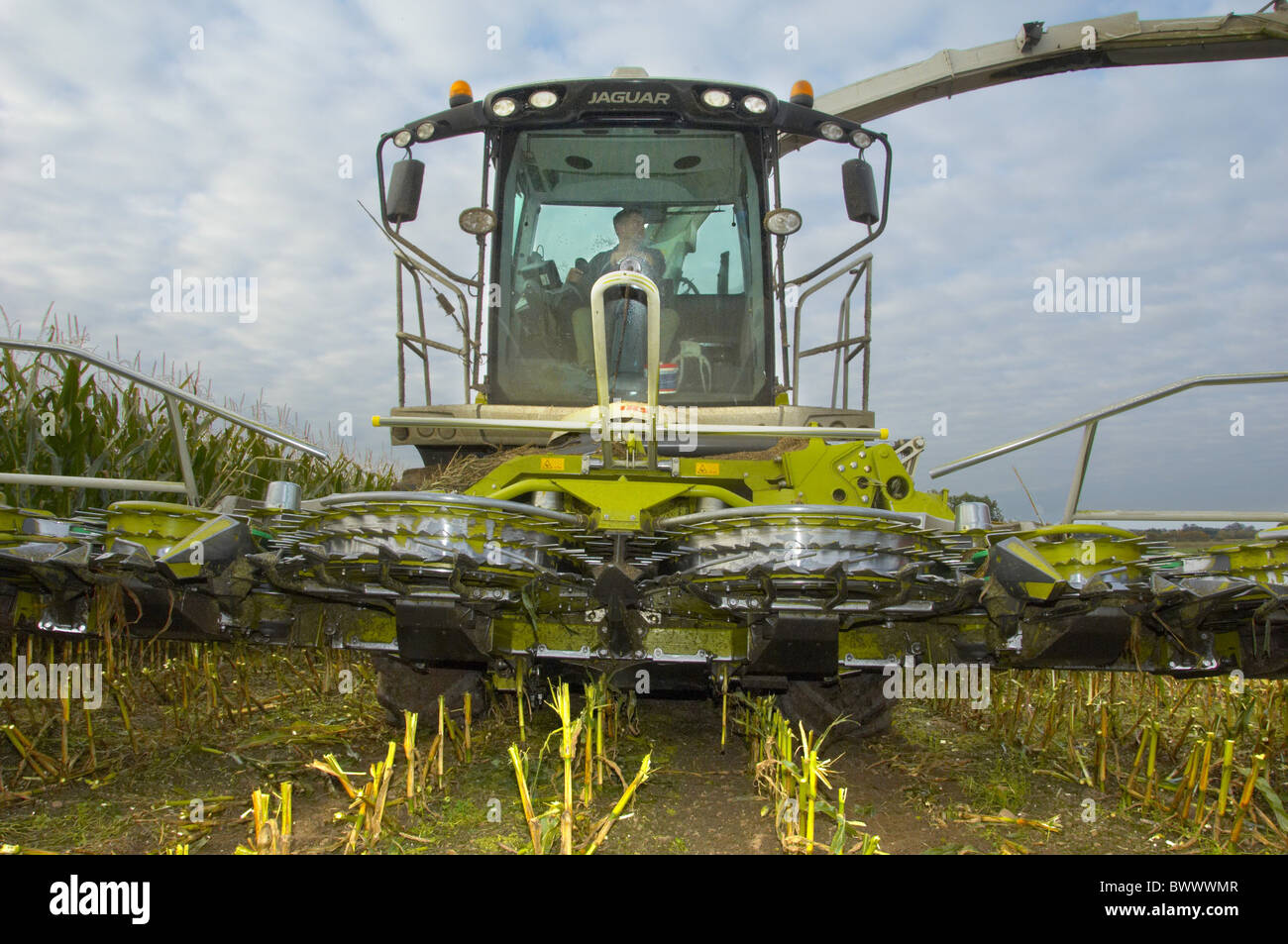 Maize forage harvester maize CLAAS Jaguar machinery farm farms farming ...