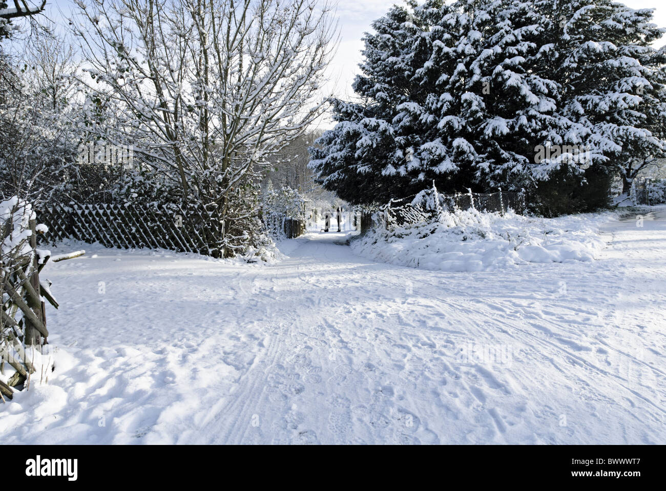 Snow covered path Stock Photo - Alamy
