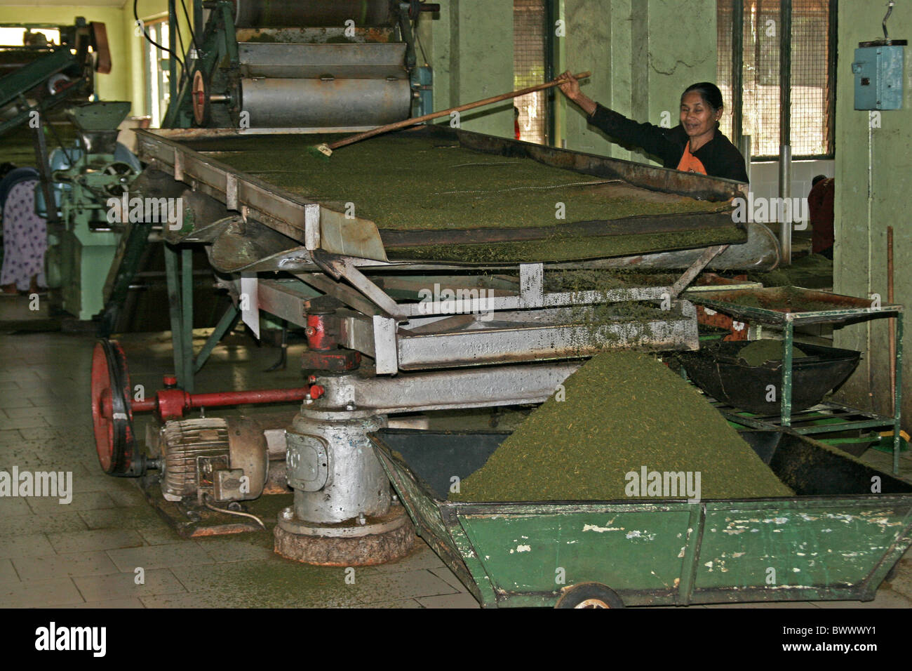 farm farms farming crop crops tea teas agriculture agricultures ...