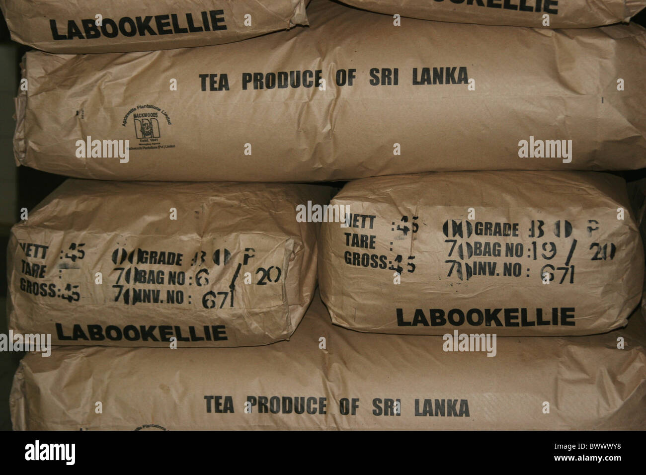 farm farms farming crop crops tea teas agriculture agricultures ...