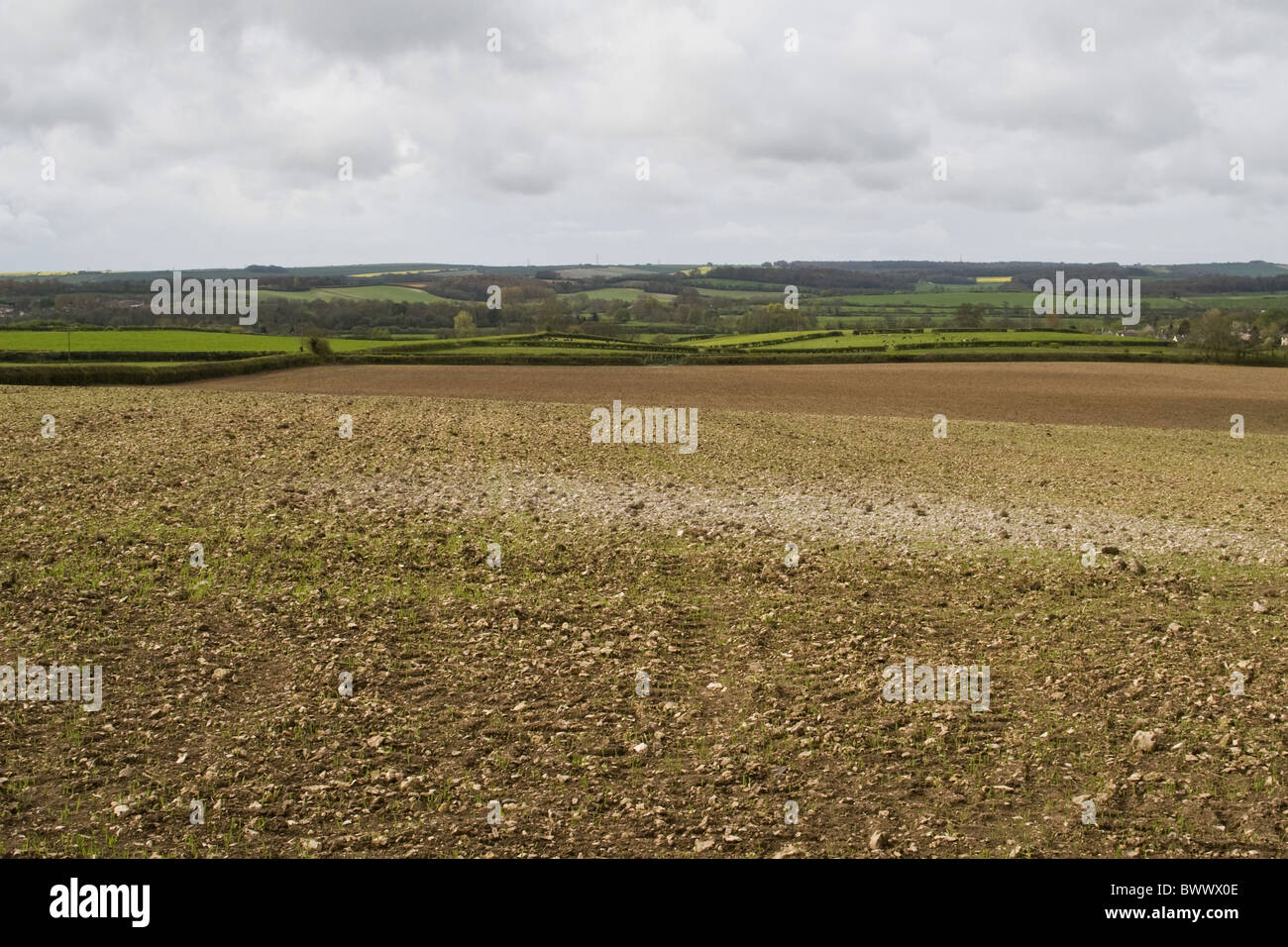 Agricultural commodities hi-res stock photography and images - Alamy
