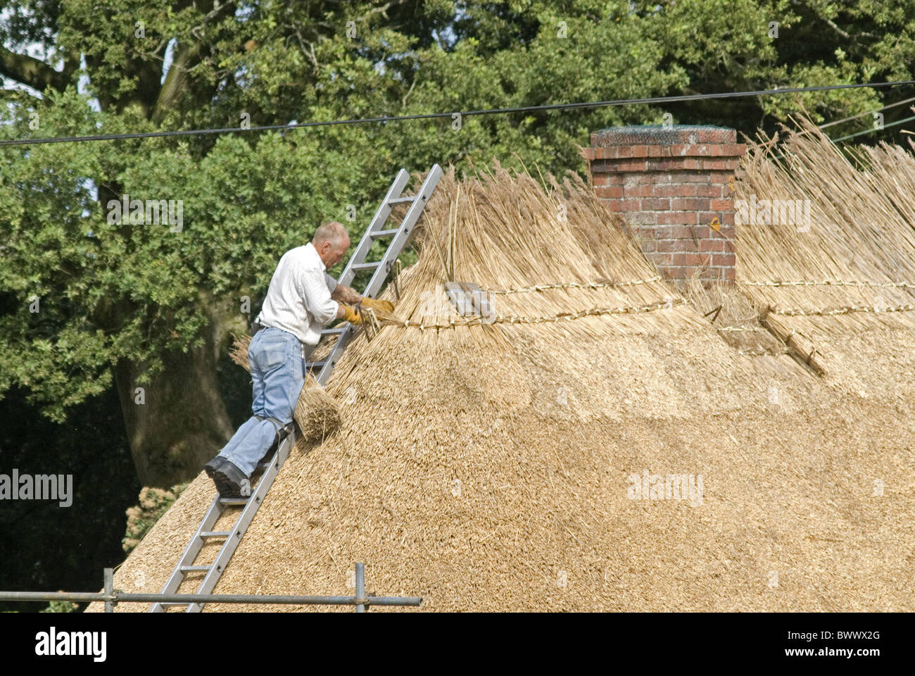 Thatcher work roof thatching with reed cottage Stock Photo - Alamy