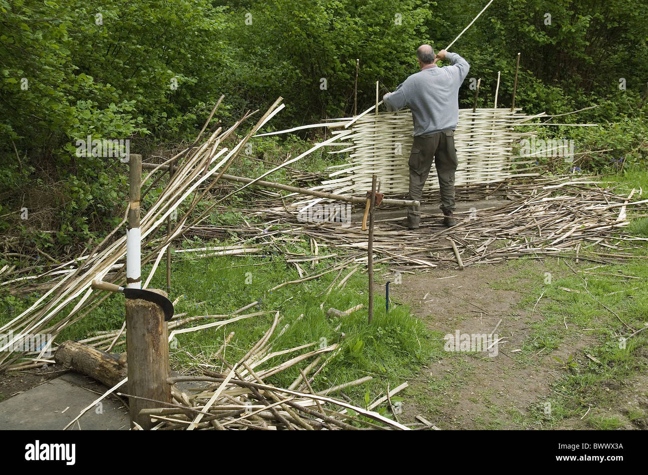 Hurdle making hurdle maker building up hazel Stock Photo - Alamy